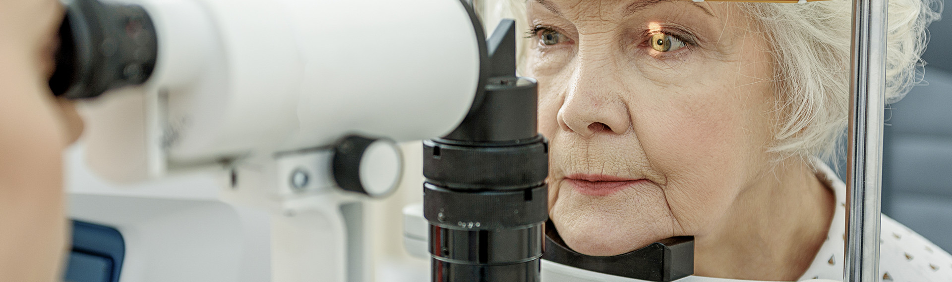 Eye Exams For Senior Citizens Envy Eyewear Toronto Eye Exams For Senior Citizens Envy Eyewear Toronto